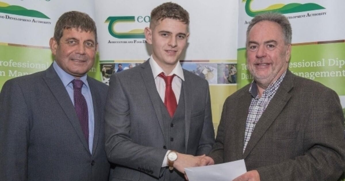 Joe Sheehy: Proper feeding levels essential for your herd