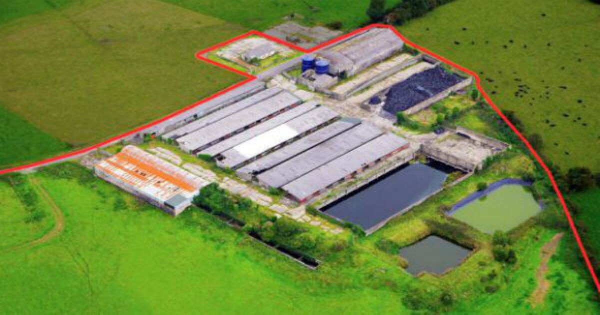 Golden Vale 183-acre farm has 1970s yard for 1,500 cattle
