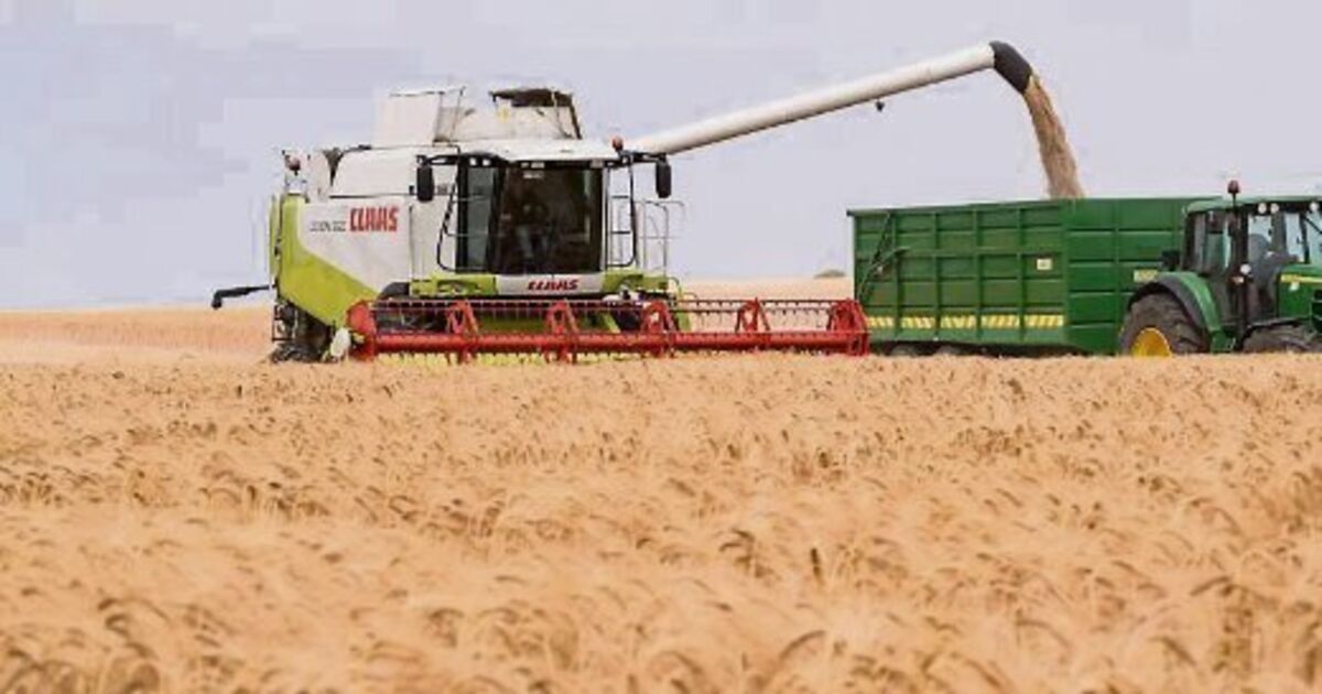 Stephen Cadogan: Farm-to-farm trading can underpin grain market