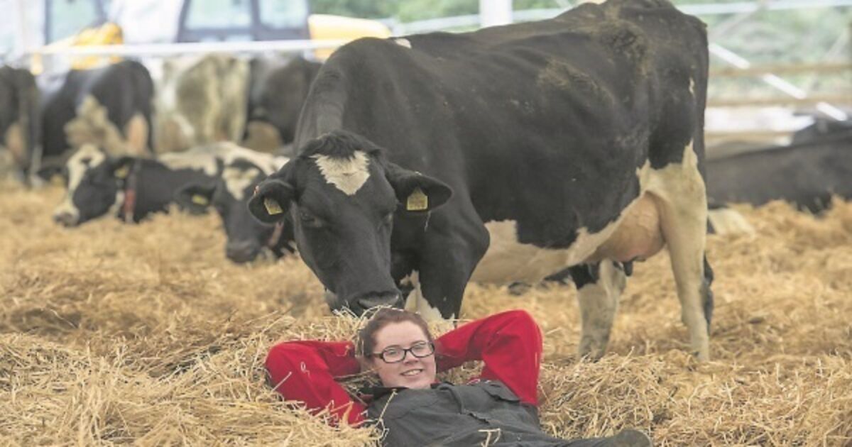 Farming Poll 2016: Irish farming and attitudes post-Brexit