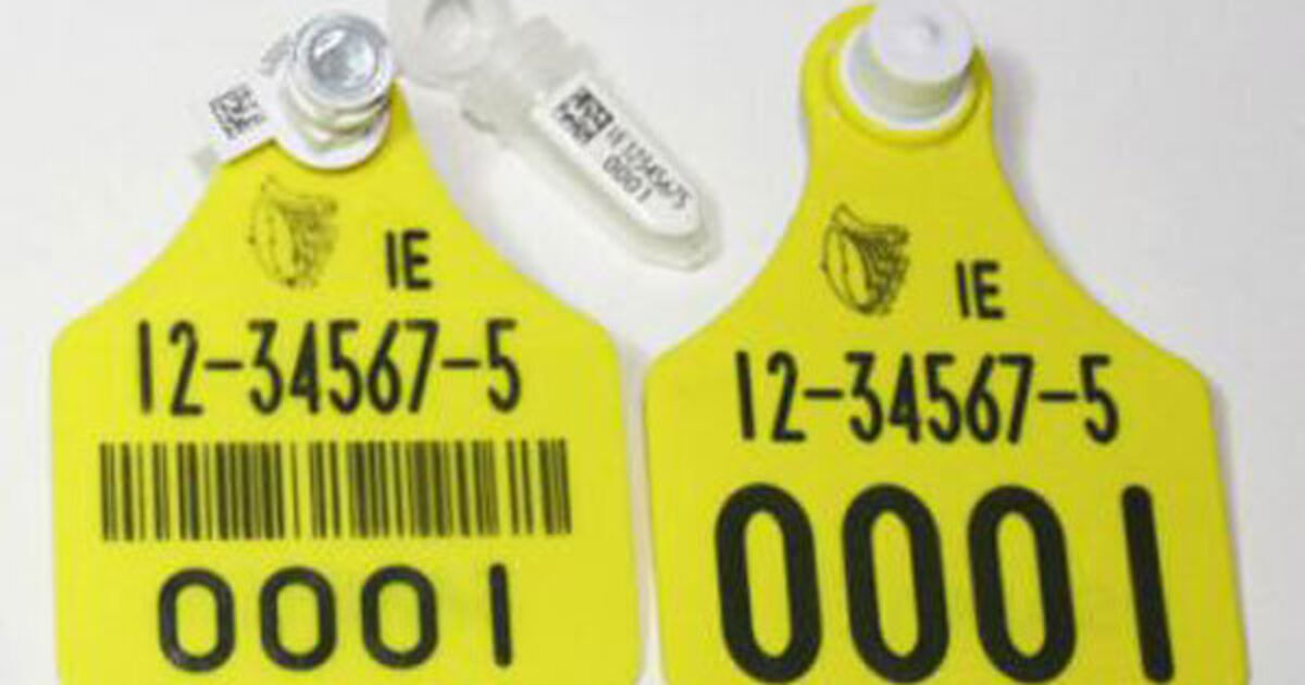 Farmers advised to contact BVD tissue tag providers directly to order tags