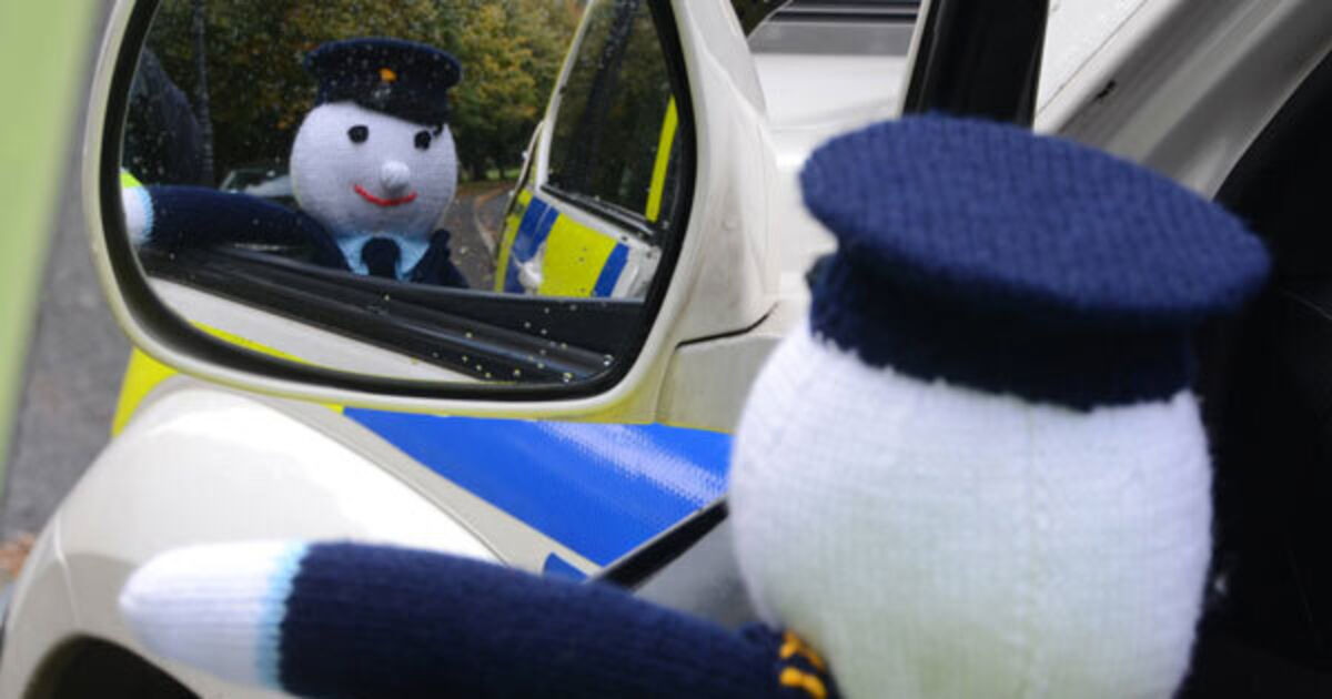 Gardaí ask children to name their newest recruit