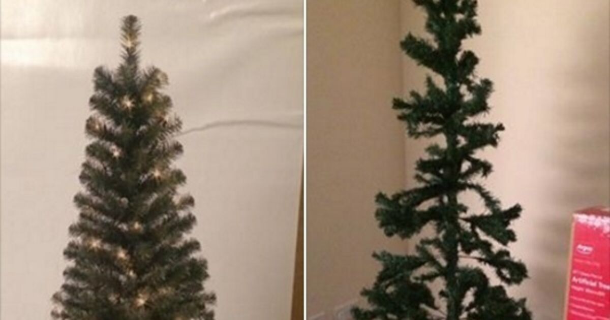 What to do when your rubbish Christmas tree doesn't match your expectations