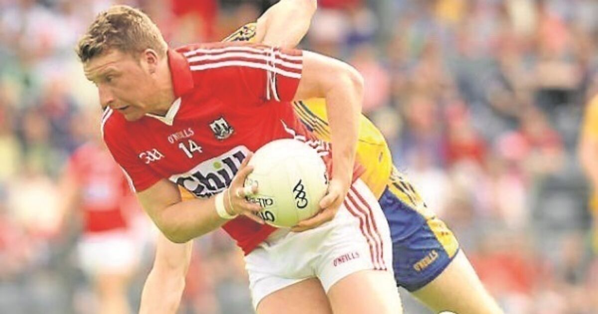 Brian Hurley: Heeding media critics drags you down 'into the gutter'