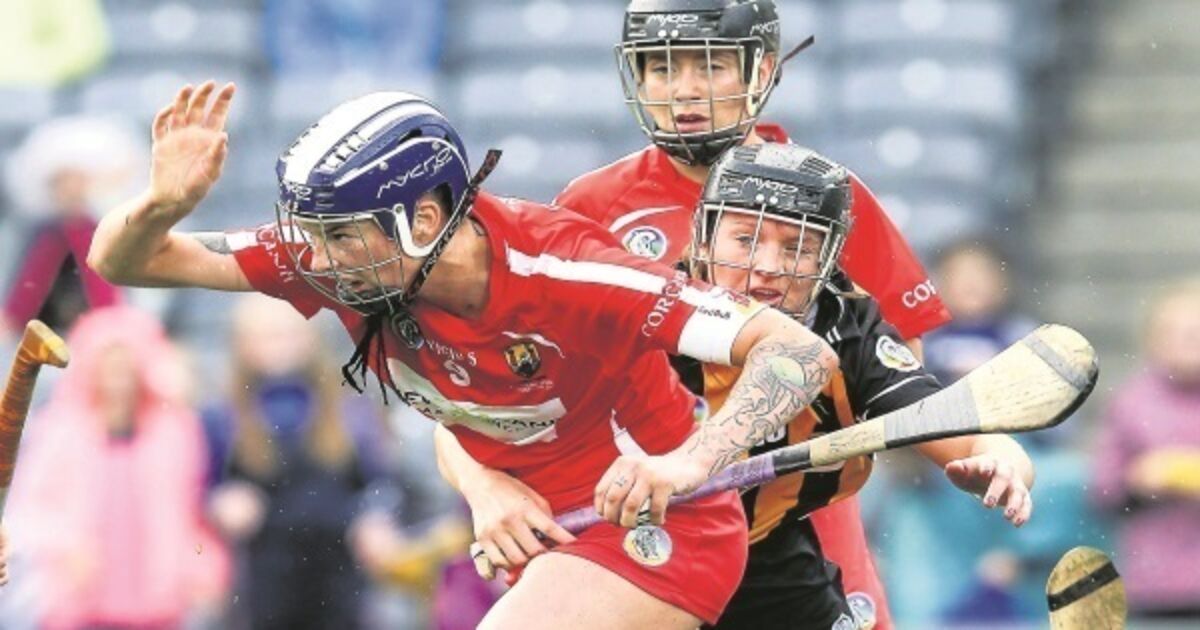 Unrelenting Cork manage to land the killer punch