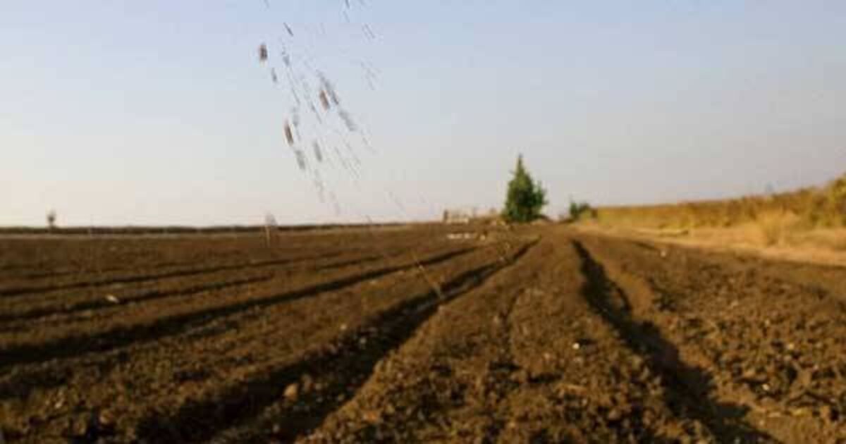 Grianan Estate organic farm in Donegal sold for €17m