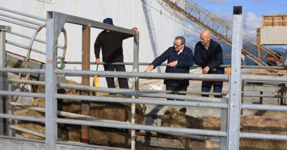 Stephen Cadogan: UK must ensure easy access for the 38% of its foods it ...