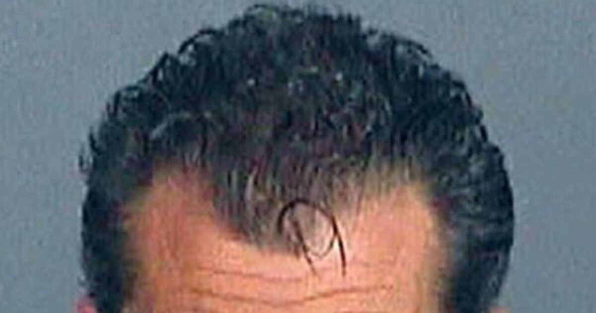 Gibson arrest officer 'suffered'