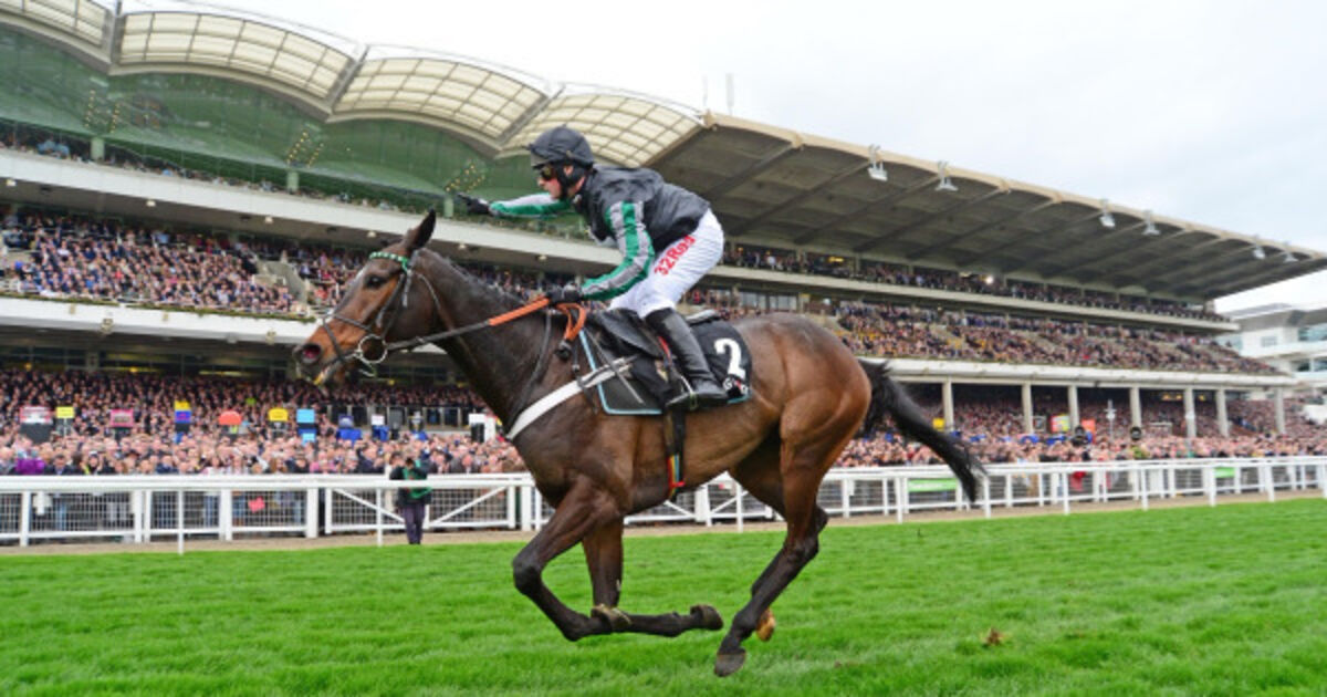 Altior looks just Champion