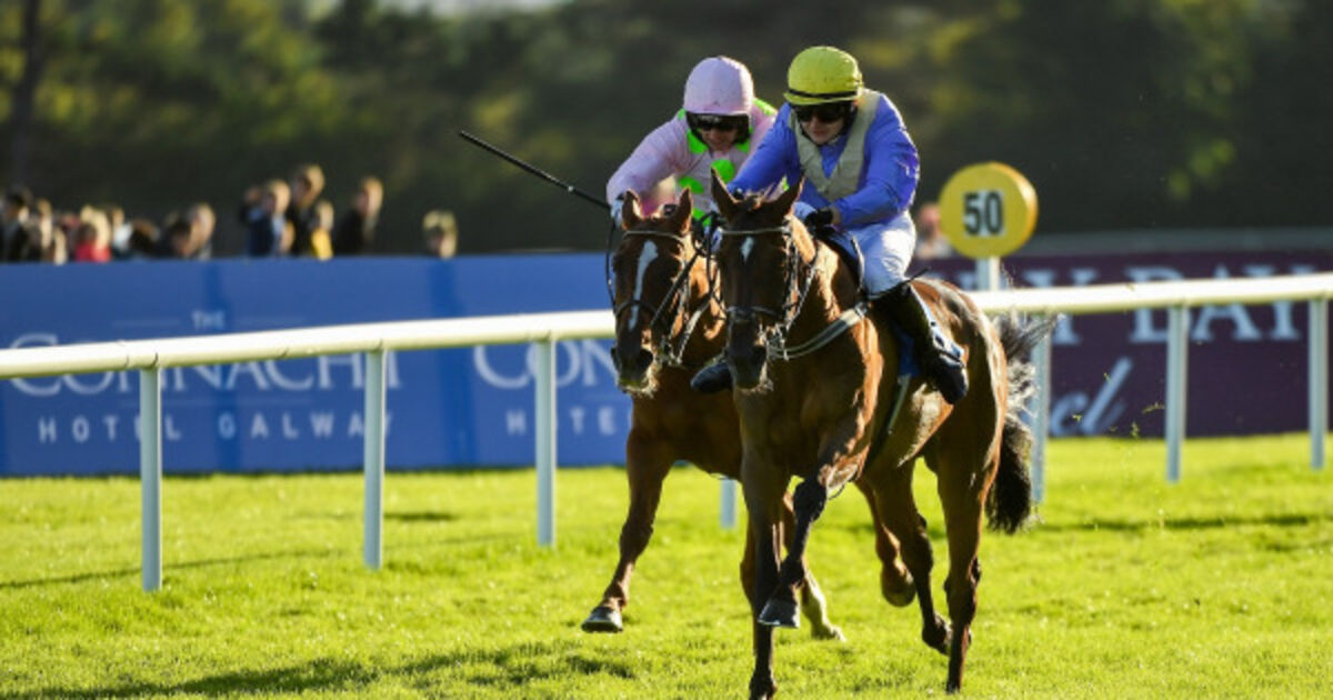 Closing the gate after the horse has bolted