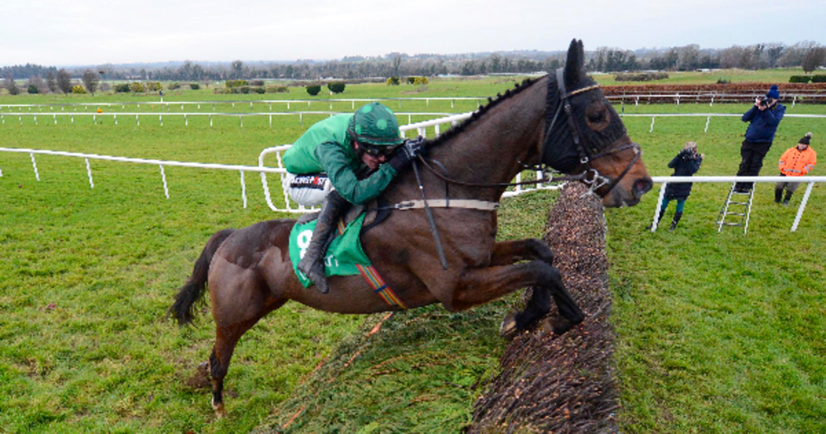 Aintree fences and trip likely to suit Polidam