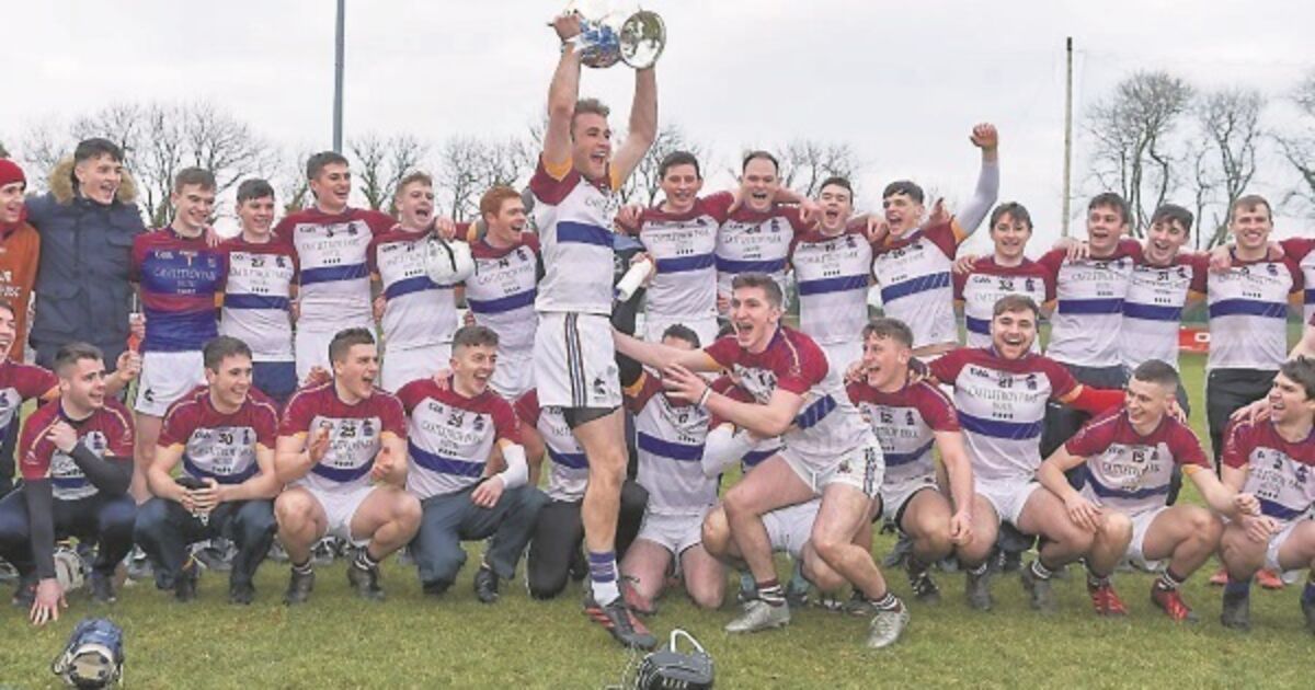 UL victory keeps Limerick hurling momentum bubbling