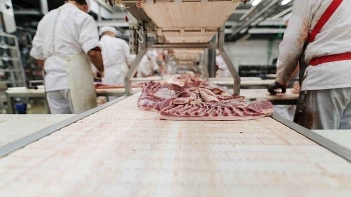 Meat factory workers claim they were made to work alongside colleagues ...