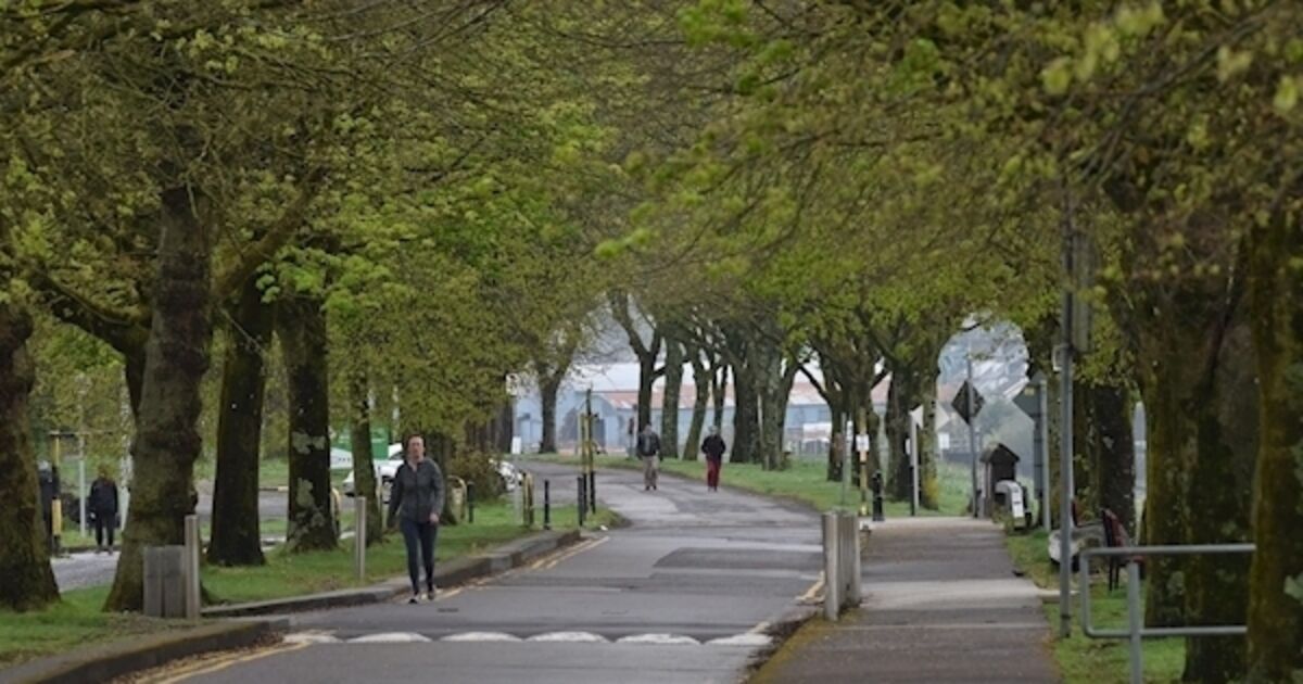 More pedestrian-friendly plans for Cork city centre