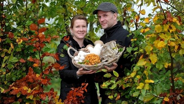 Documentary explores the magic of mushrooms