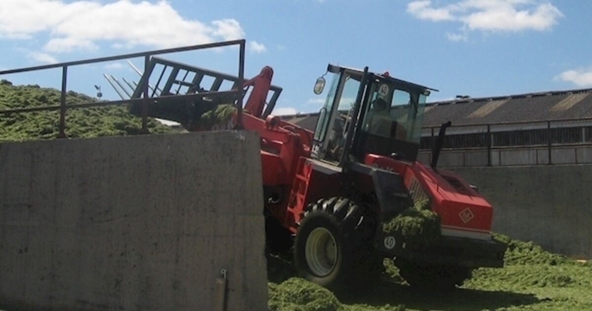 Planning ahead is key to safe silage management