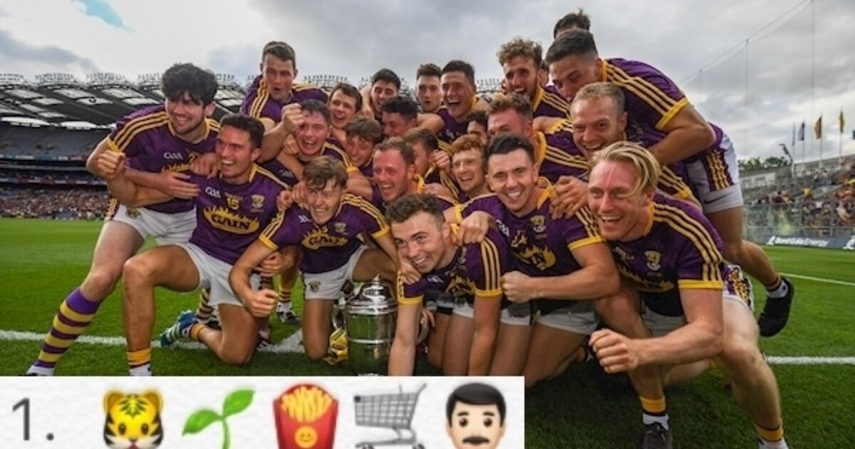 GAA emoji quiz: Can you name these ten Wexford hurlers?