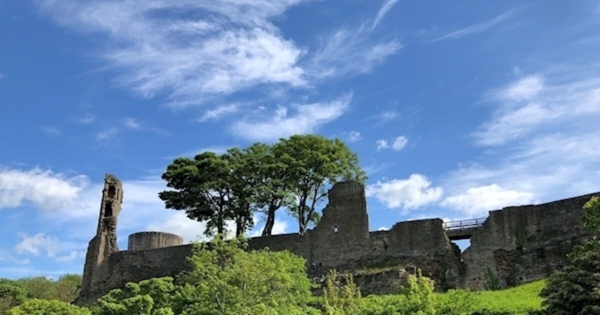 'Excellent place to cough': Tripadvisor suspends reviews of Barnard Castle