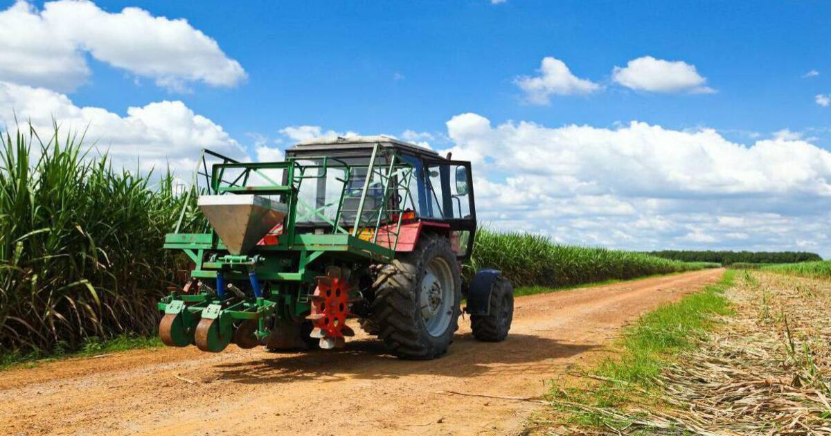 Farmers should be able to claim payments for ‘rewilding’ land – UK ...