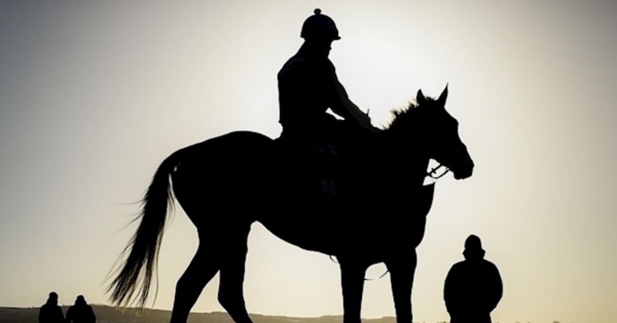 Liam Mackey: Horse racing and me - A doomed affair from the get-go