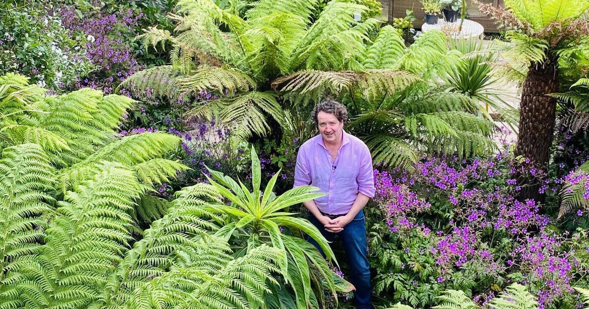 Friday TV highlights: Diarmuid Gavin's new gardening show, and a ...