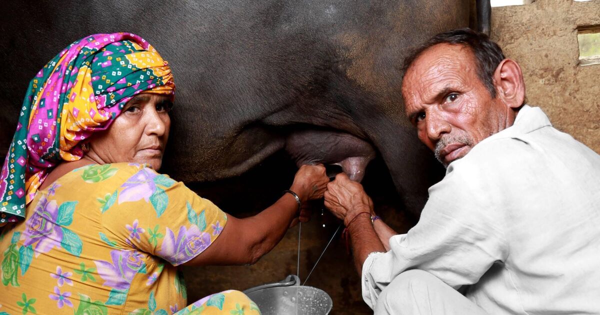 Stephen Cadogan: Burger King's ham-fisted attempt to explain their role ...