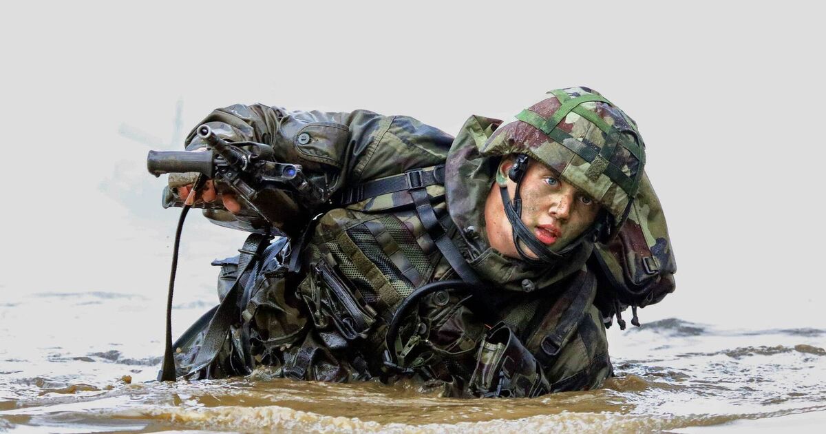 Dorcha Lee: Plan for future of Defence Forces needs wider scope