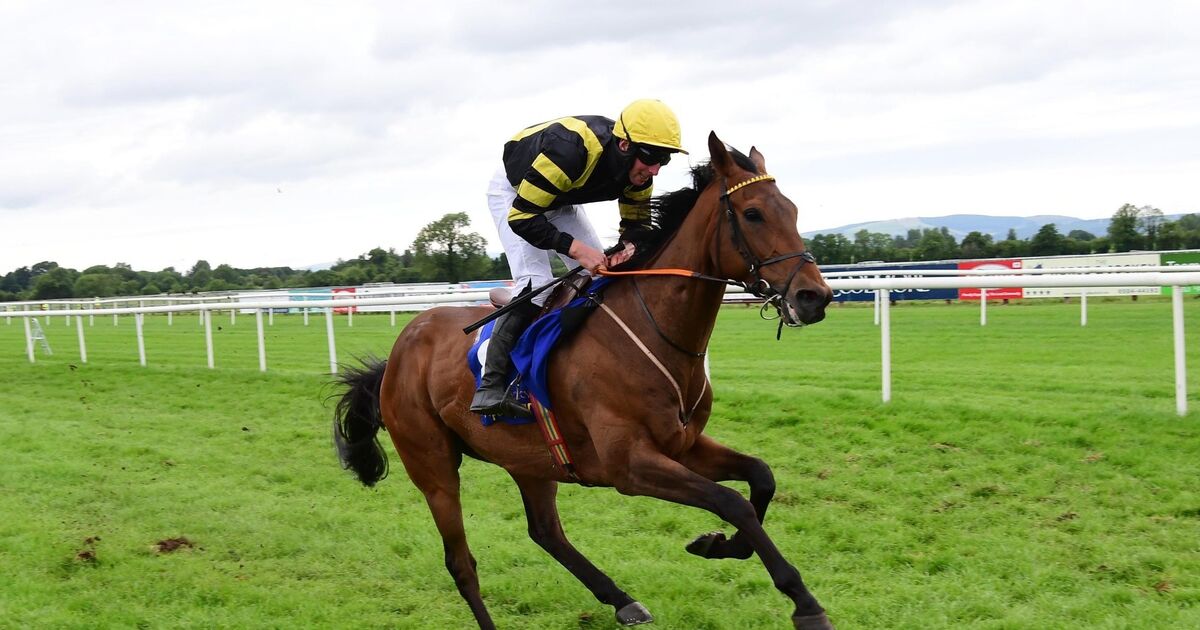 Galway Tips: Hallowed Star looks poised to concede weight all round