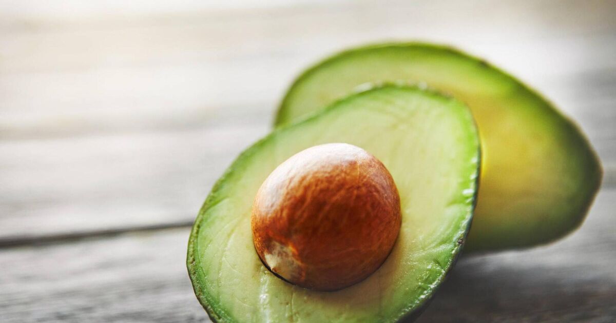 The unlikely persistance of the avocado and why guacamole even exists today