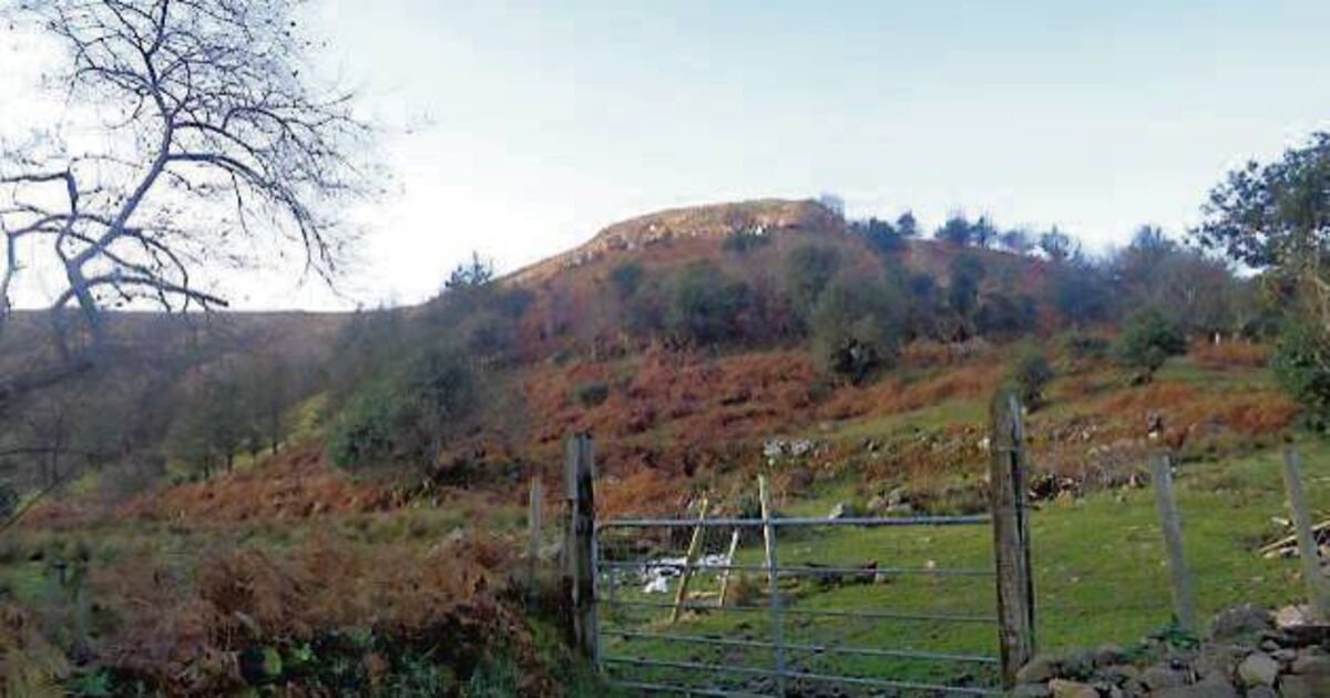 €1,750 per acre price tag on Ring of Kerry farm