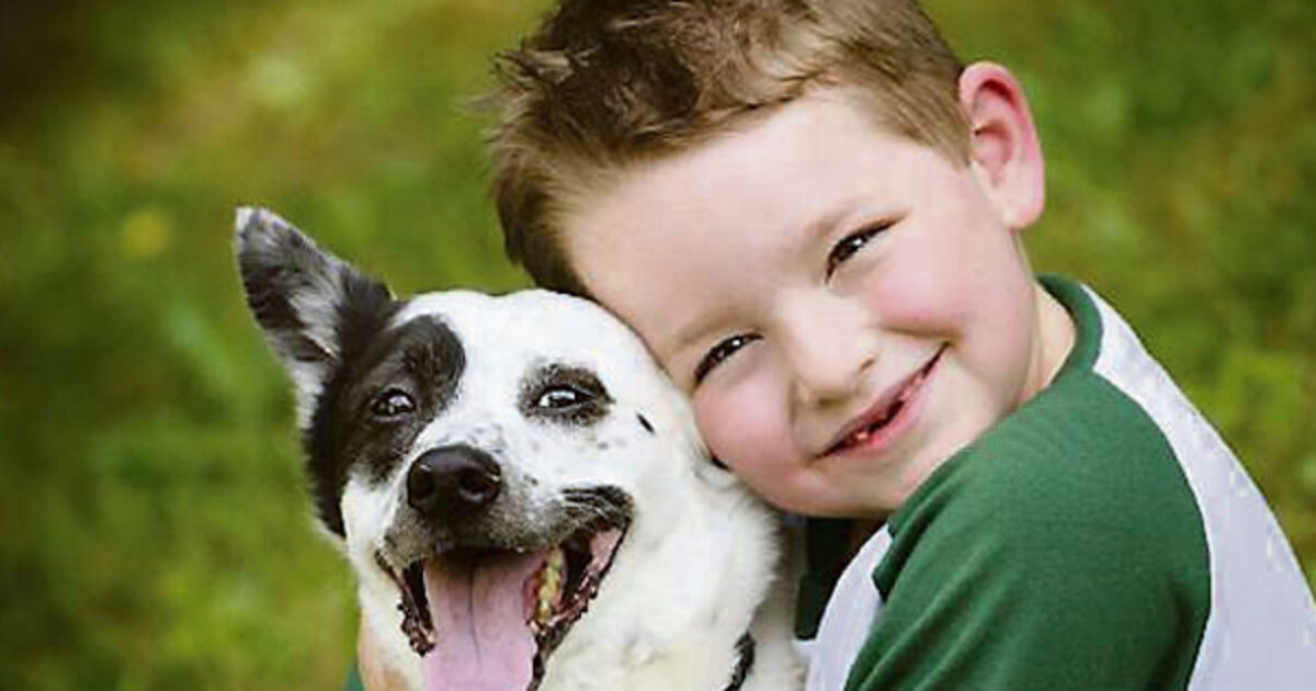 Do dogs have feelings?