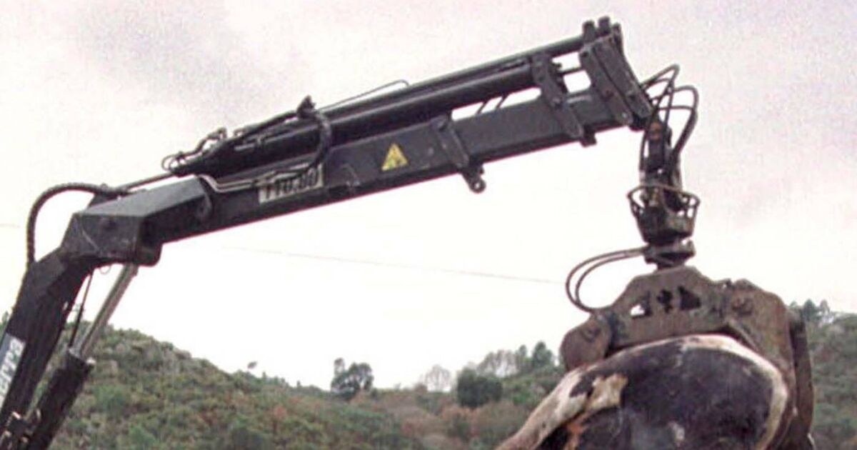 Knackeries say they will shut due to talks failure