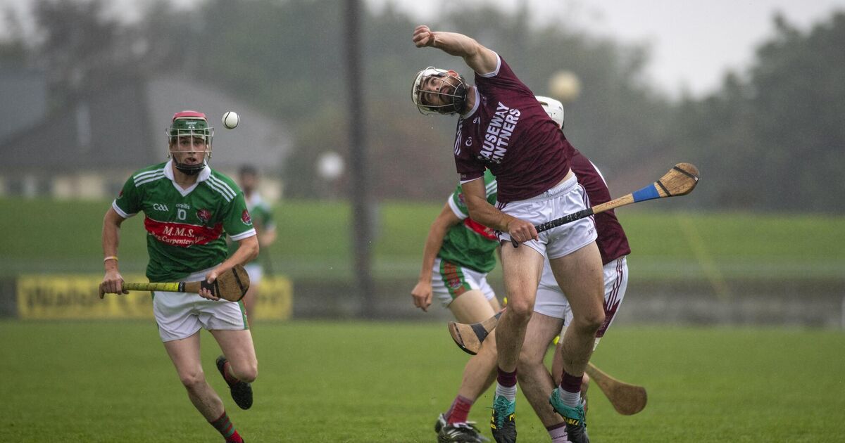 Holders Causeway pushed all the way by Crotta O'Neill's