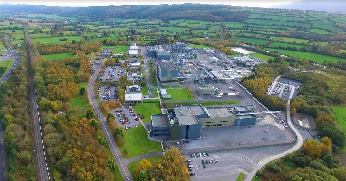 MSD plans to expand its Tipperary facility creating new jobs