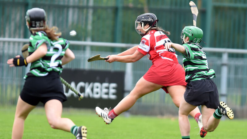 Linda Collins sets the tone as Courcey Rovers progress to Cork camogie ...