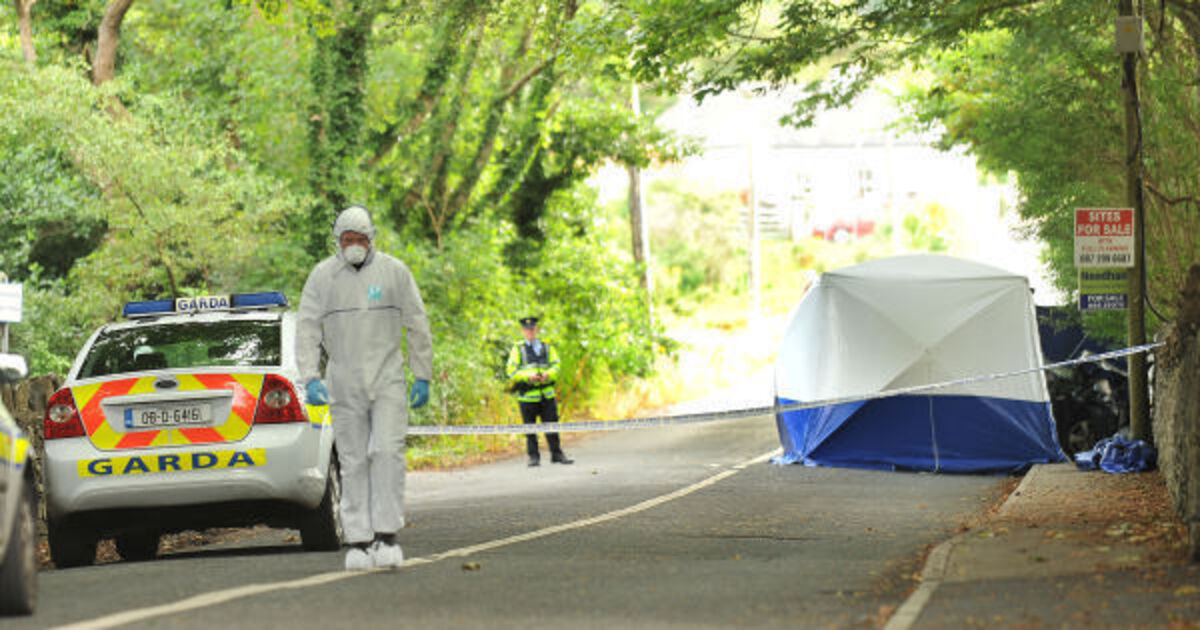 Missing brothers found dead following Mayo car accident