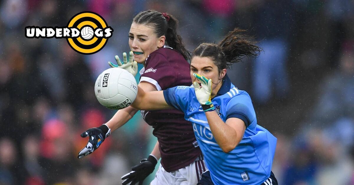 Selectors named for new TG4 Underdogs series to find hidden ladies ...