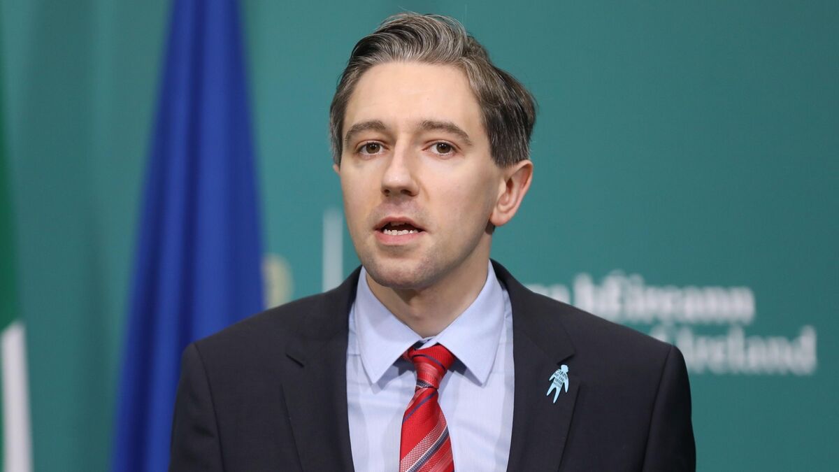Simon Harris: Ireland has 'very narrow window' to get Covid-19 under ...