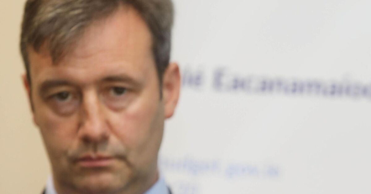 Government to review legislation after Michael D'Arcy quit Seanad to ...