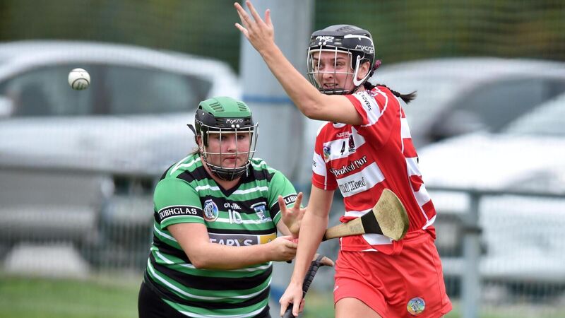 Camogie: Defeat for Courcey Rovers in Munster semi-final