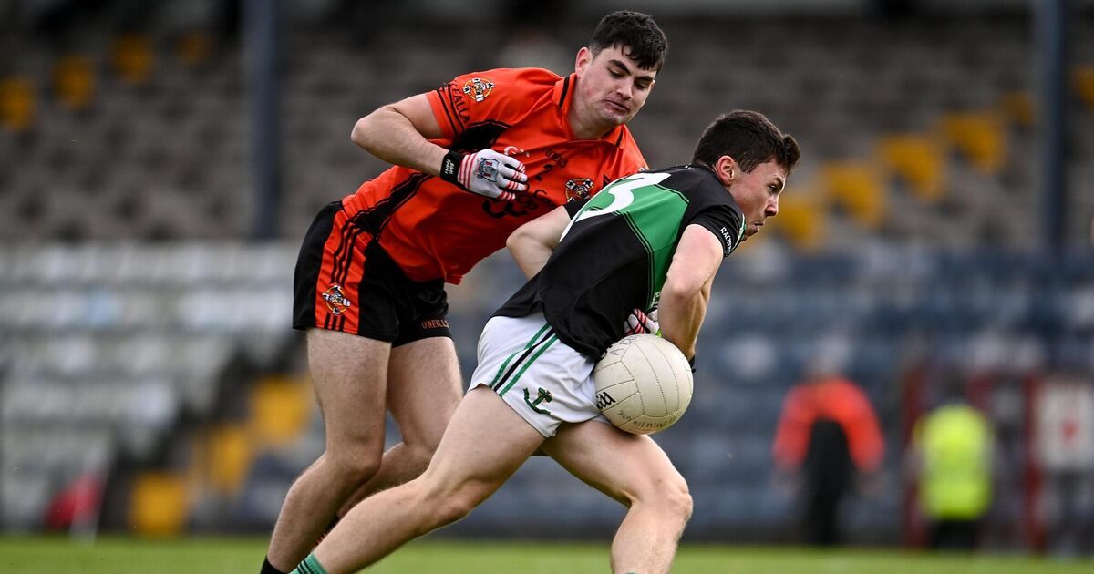 Duhallow loss clears way for four Cork football finals