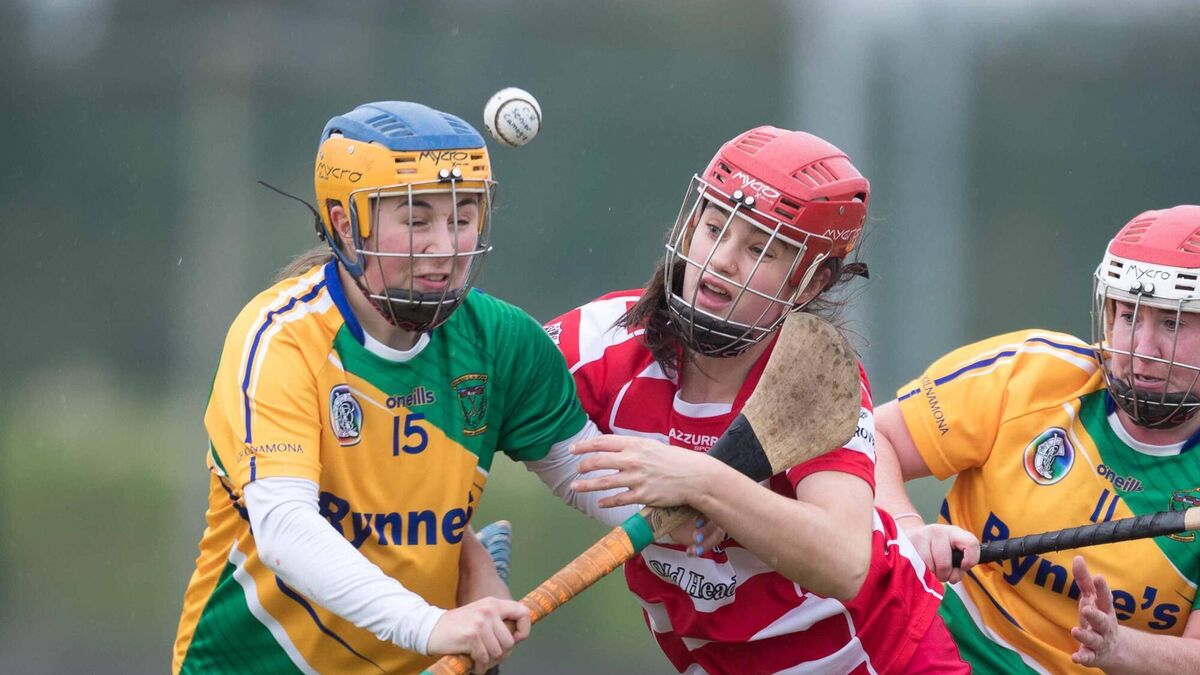 Camogie chiefs confirm that all games are suspended