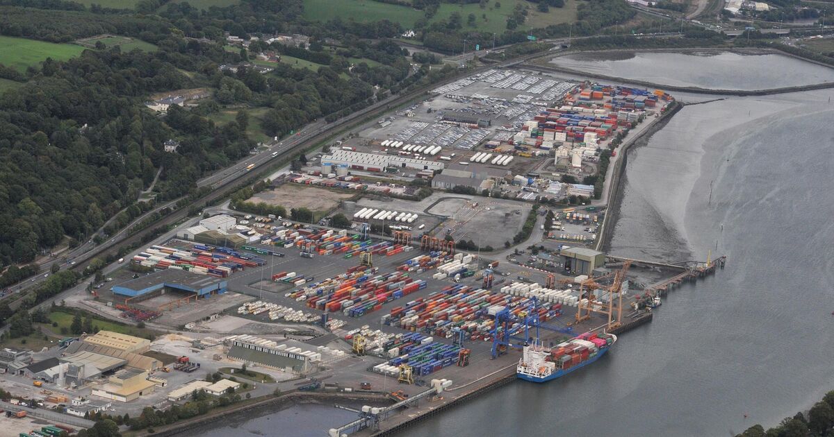 Port of Cork seeks contractors for redevelopment of Tivoli docks