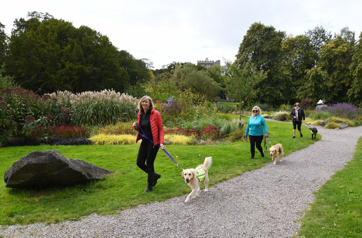 Joyce Fegan: The great outdoors will keep us well during pandemic