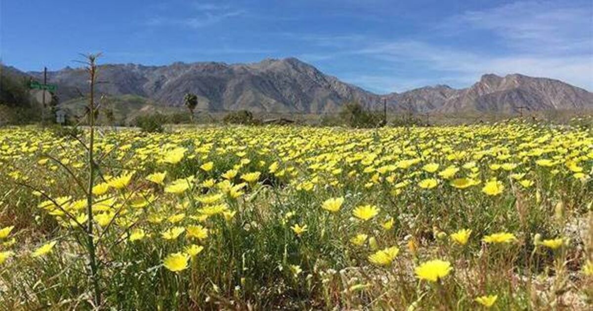 NPWS plan aid for 250 extra farmers