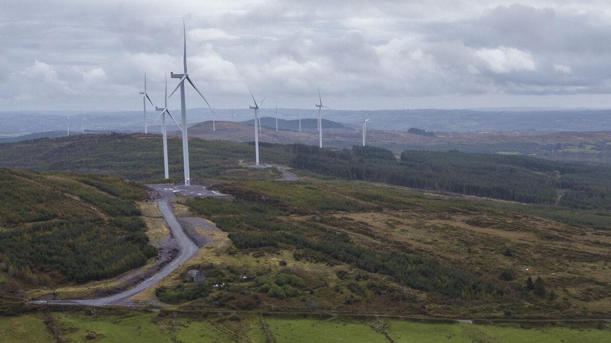 Wind farm operator Greencoat expects 'significant' expansion