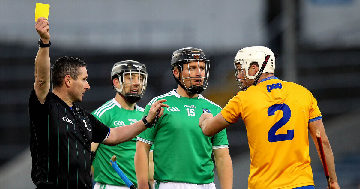 Brian Gavin: The lack of crowds could actually be beneficial for GAA ...