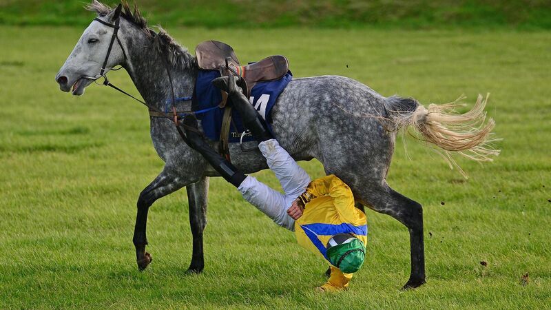 Tom Harney: 'Next thing I knew I was upside down underneath the horse'