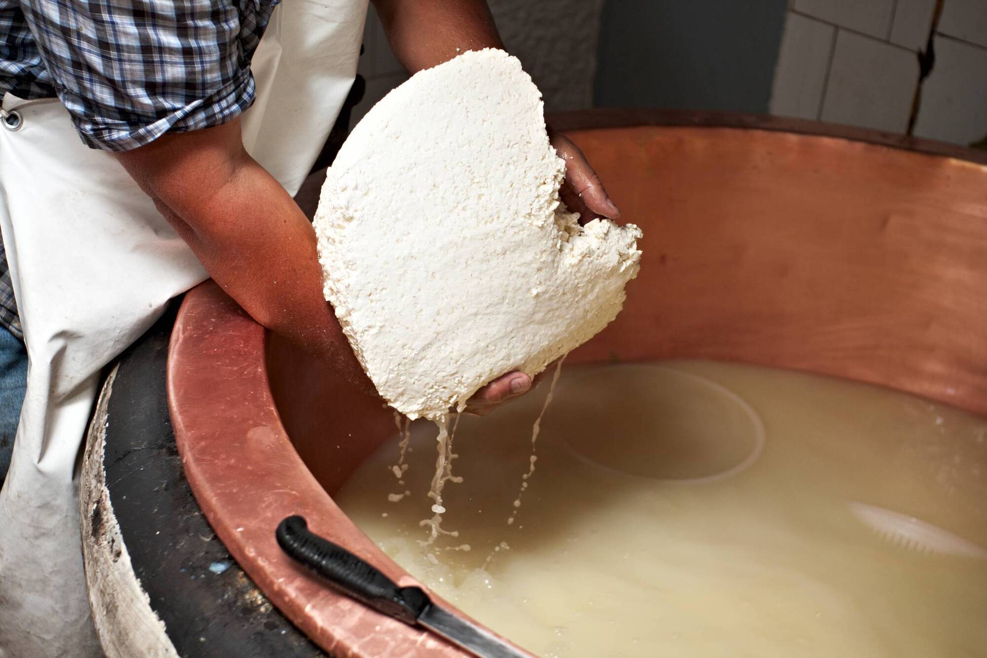 Countries differ on what can be used to make cheese