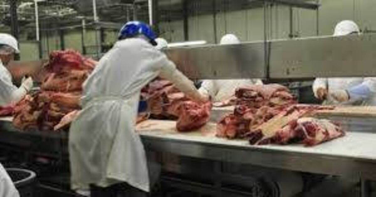 ‘Favourable UK market conditions should be reflected here’